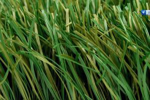 Rugby Artificial Turf | Taishan